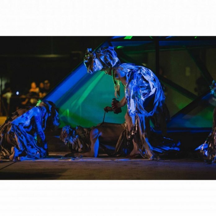 Dipnomorpha 4 (in collaboration with Megan Janet White / Stormbodies ...