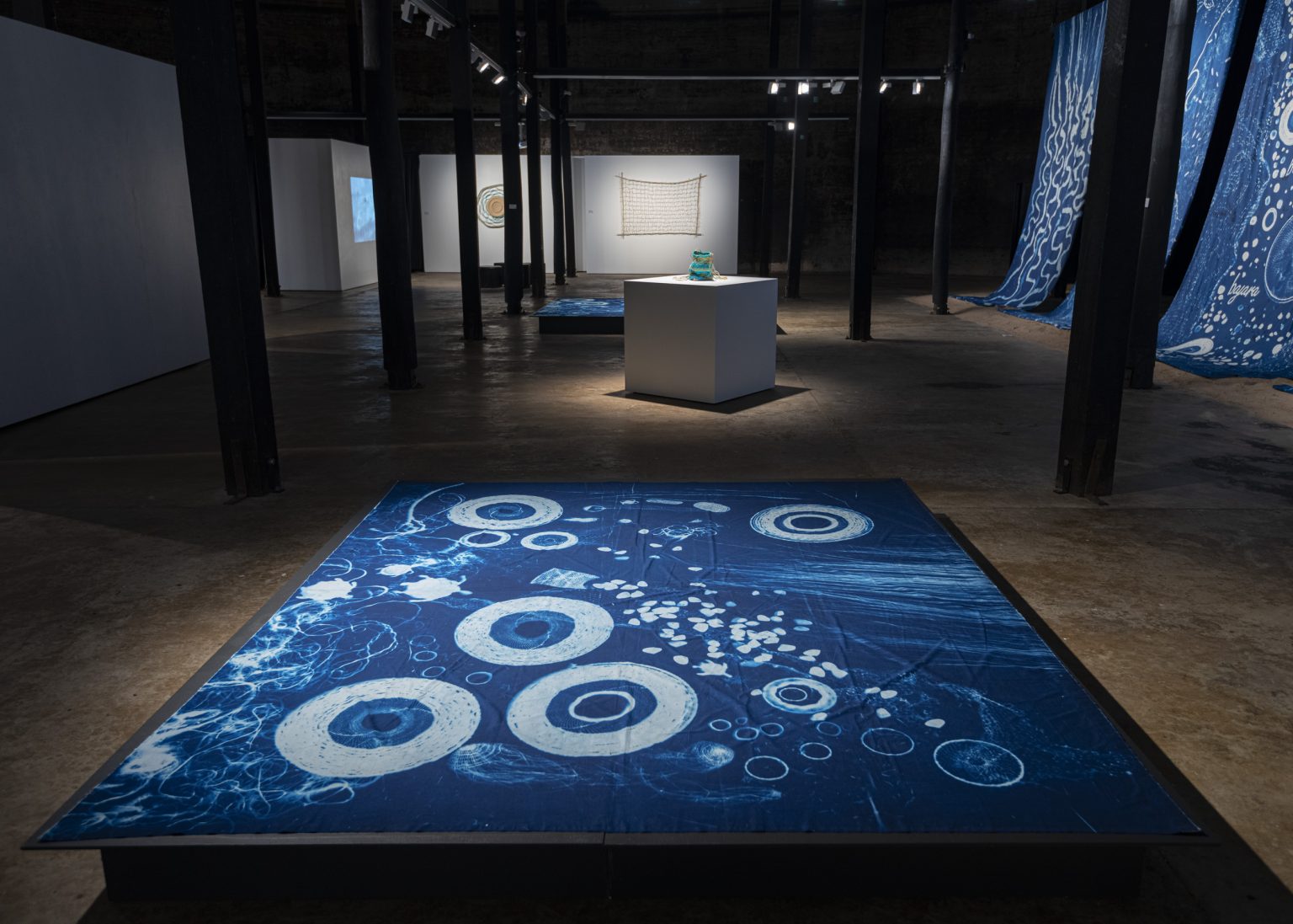 Exhibition at Tanks Art Centre – Elisa Jane Carmichael and Sonja ...