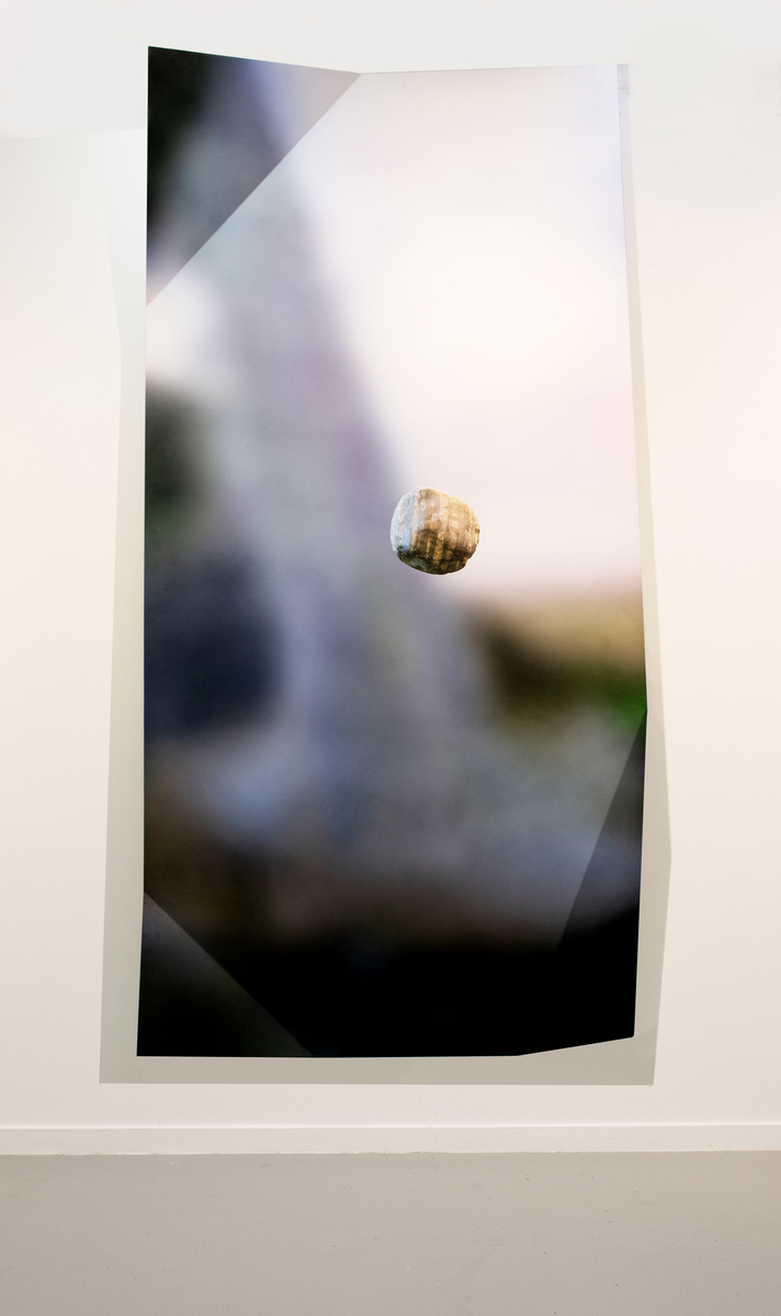 Sedimentary is not sedentary | Onespace