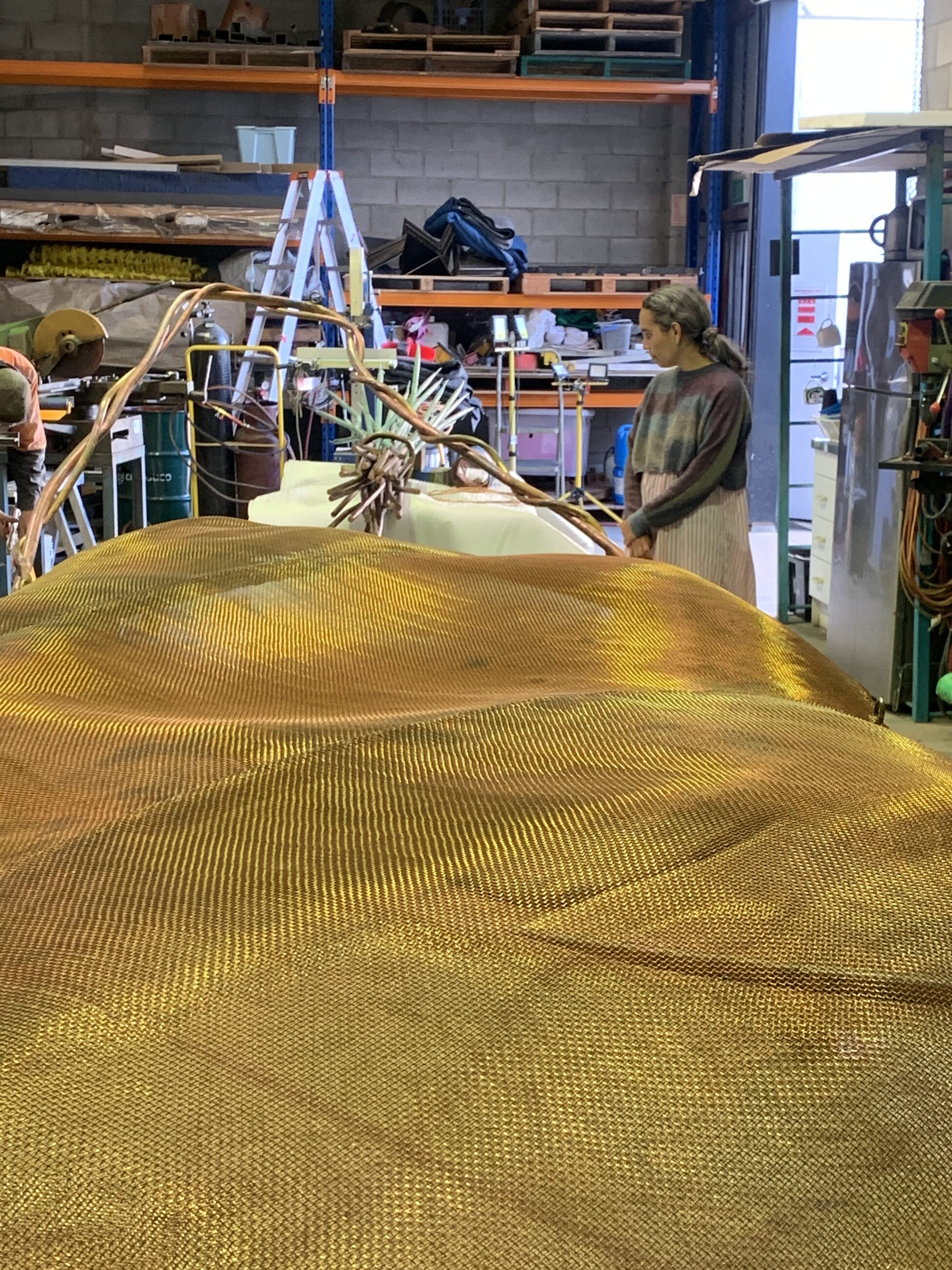 Washington DC Embassy | Sonja and Elisa Jane Carmichael Public Art ...