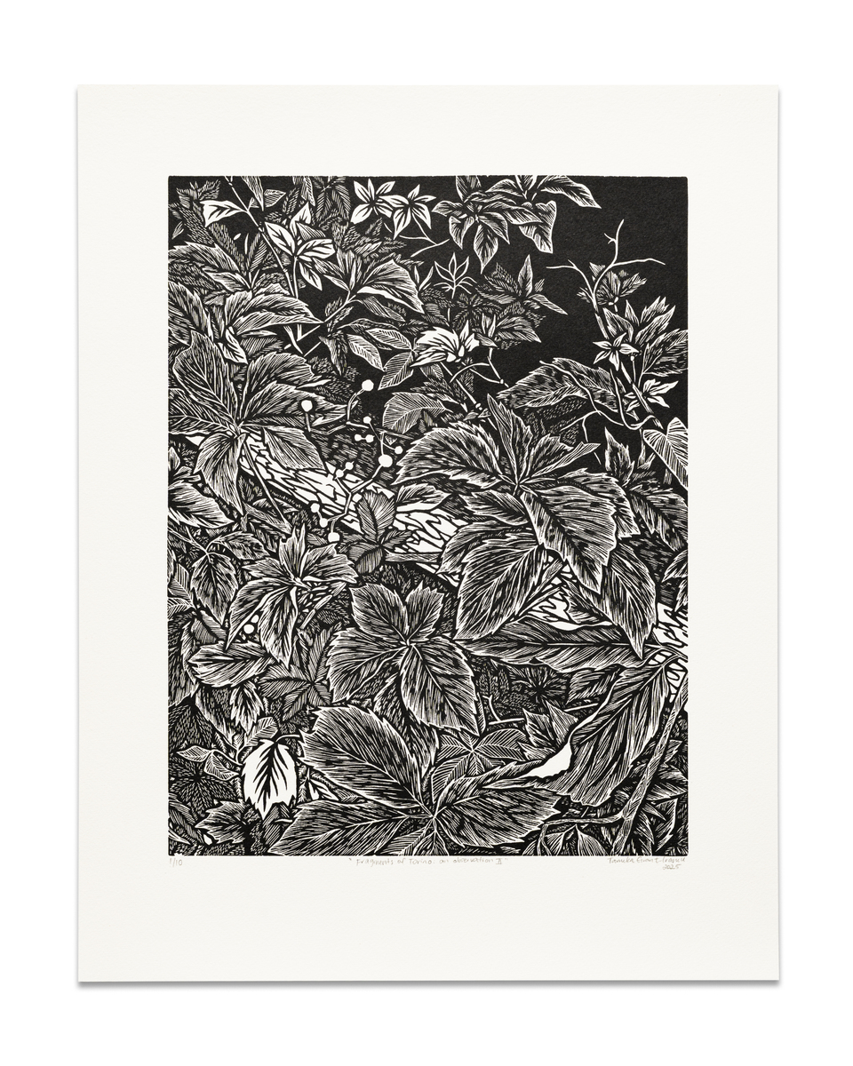 Fragments of Torino: ponte isabella detail | Onespace